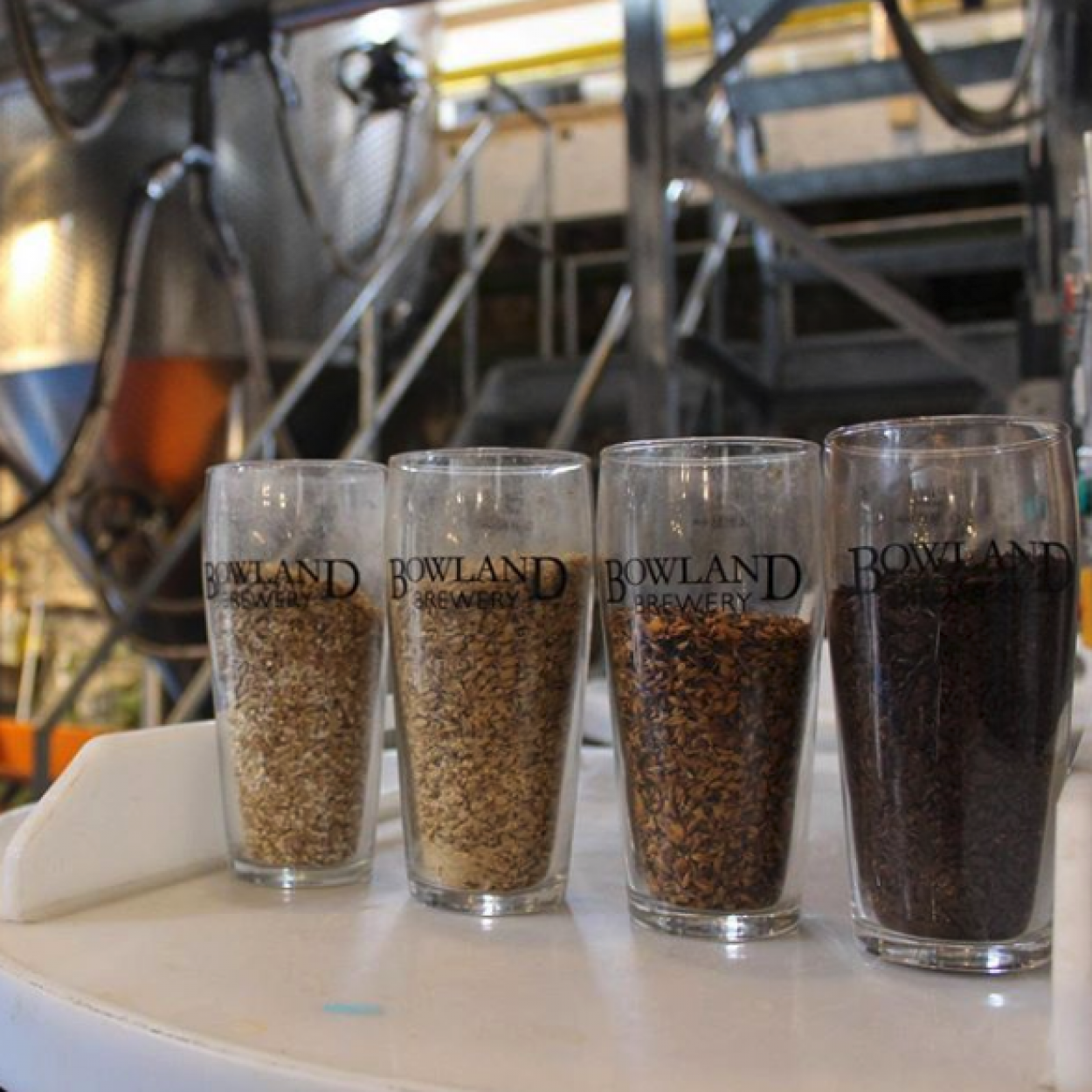 Visiting Bowland Brewery in Ribble Valley - Hawthorns Park